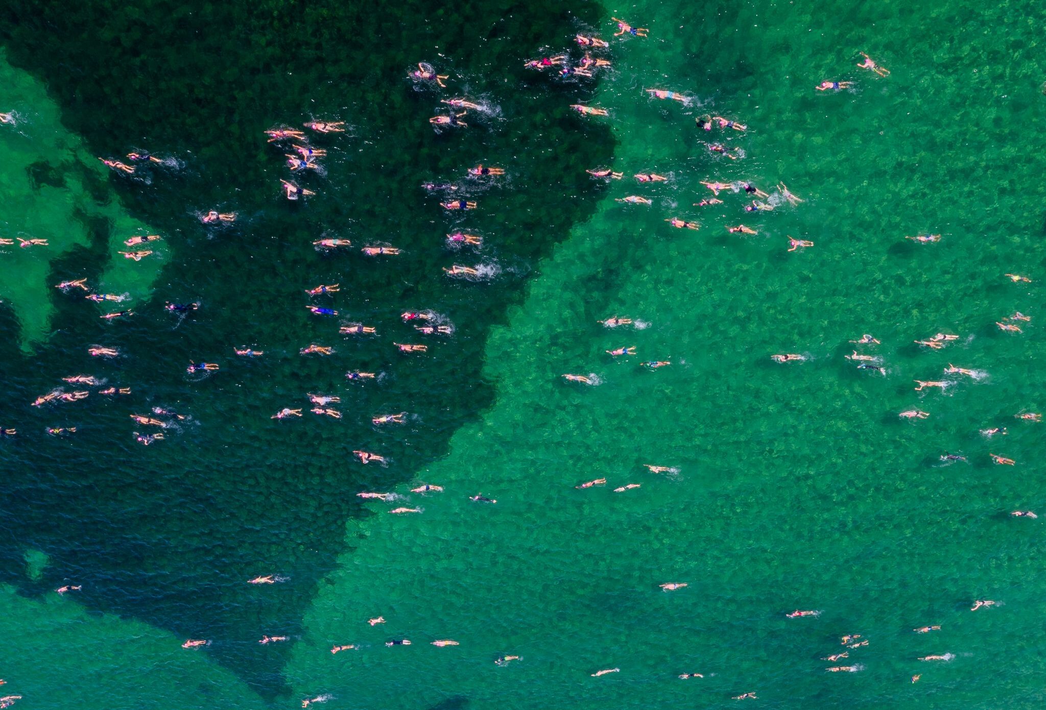 News - Busselton Jetty Swim