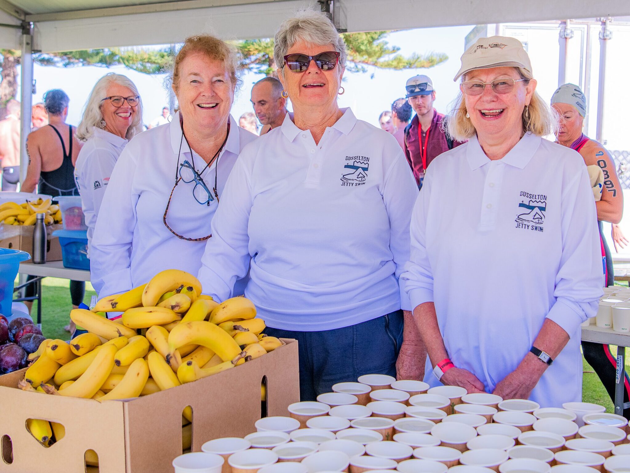 News - Busselton Jetty Swim